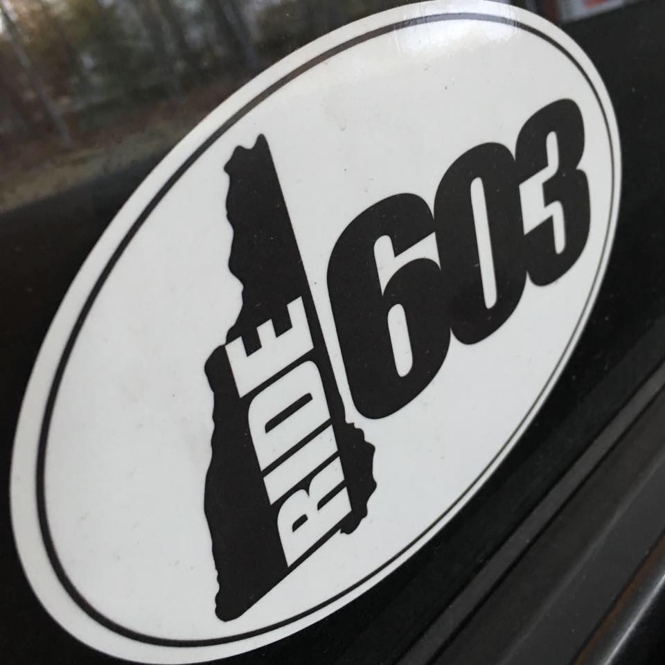 Ride 603 Oval Decal - Pink or White